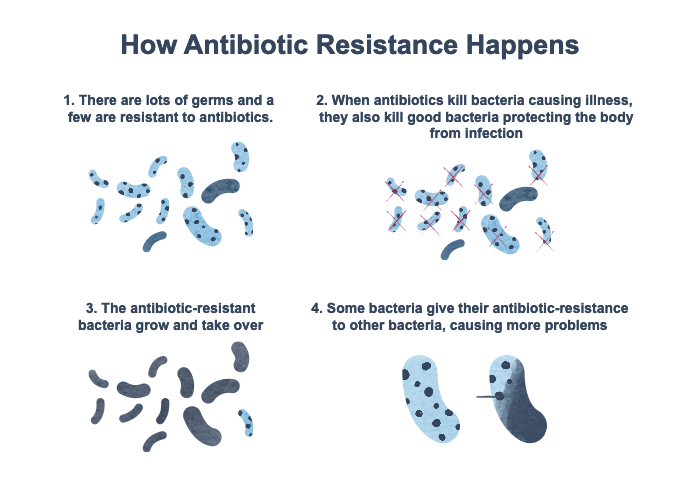 More SIT Tools for Ideation
