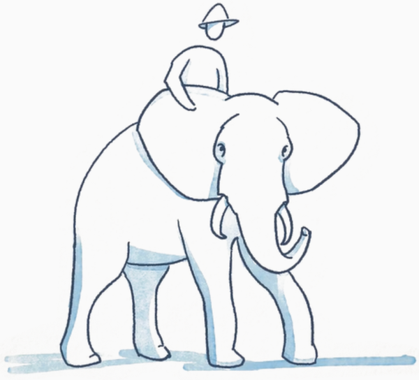 The Elephant and Rider Framework